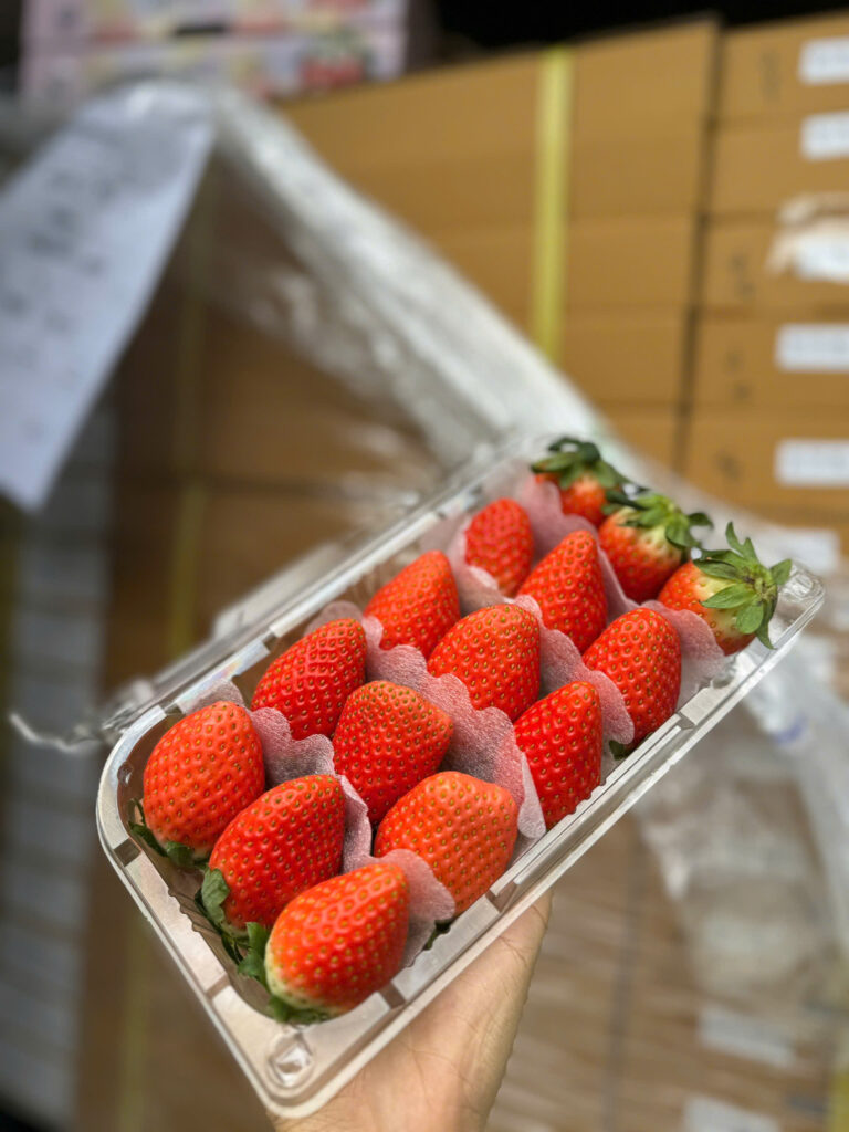 DÂU HÀN - Tiệm Rộp Rộp - Trái Cây - Hoa Tươi - Đặc Sản